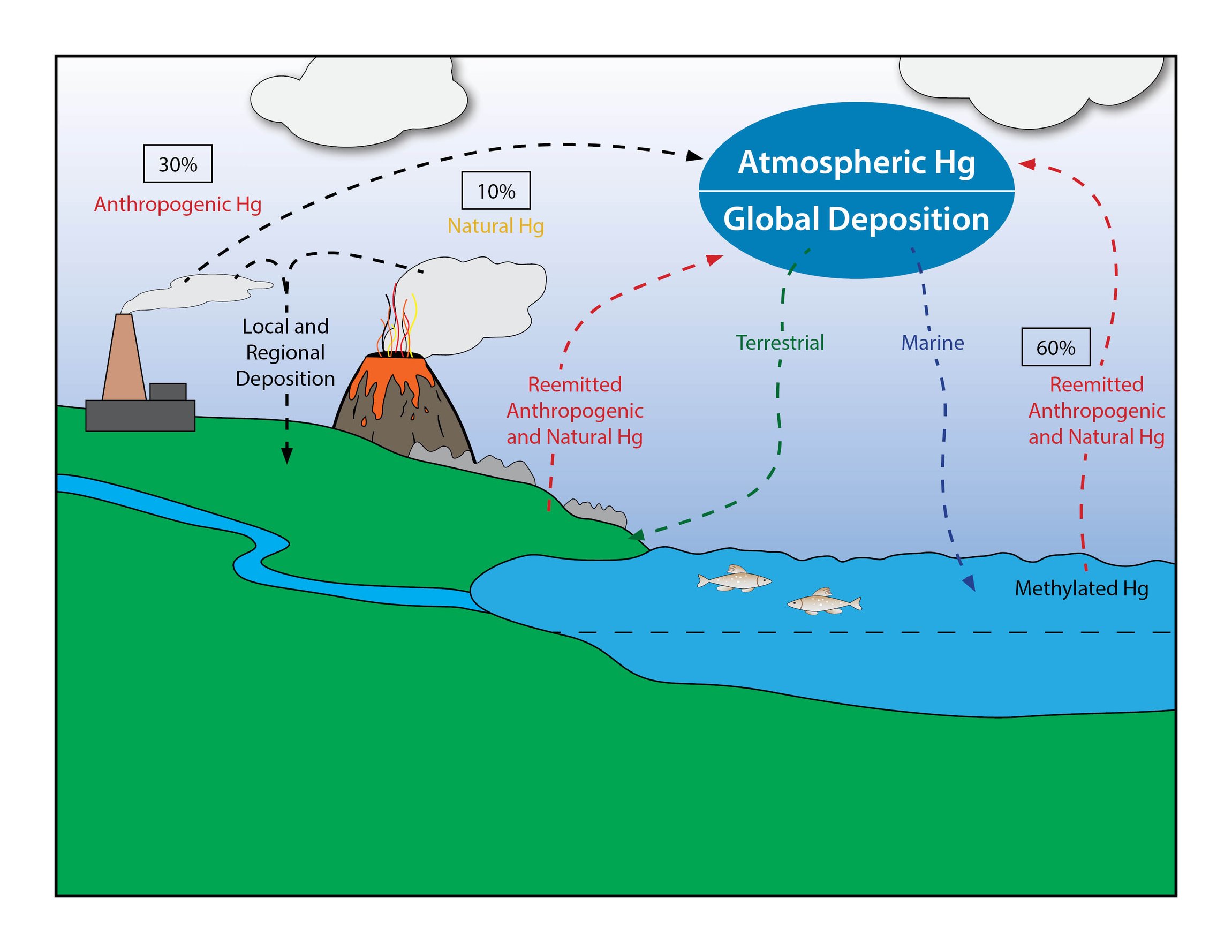 Mercury Testing in Water and Health Effects of Mercury in Drinking Water